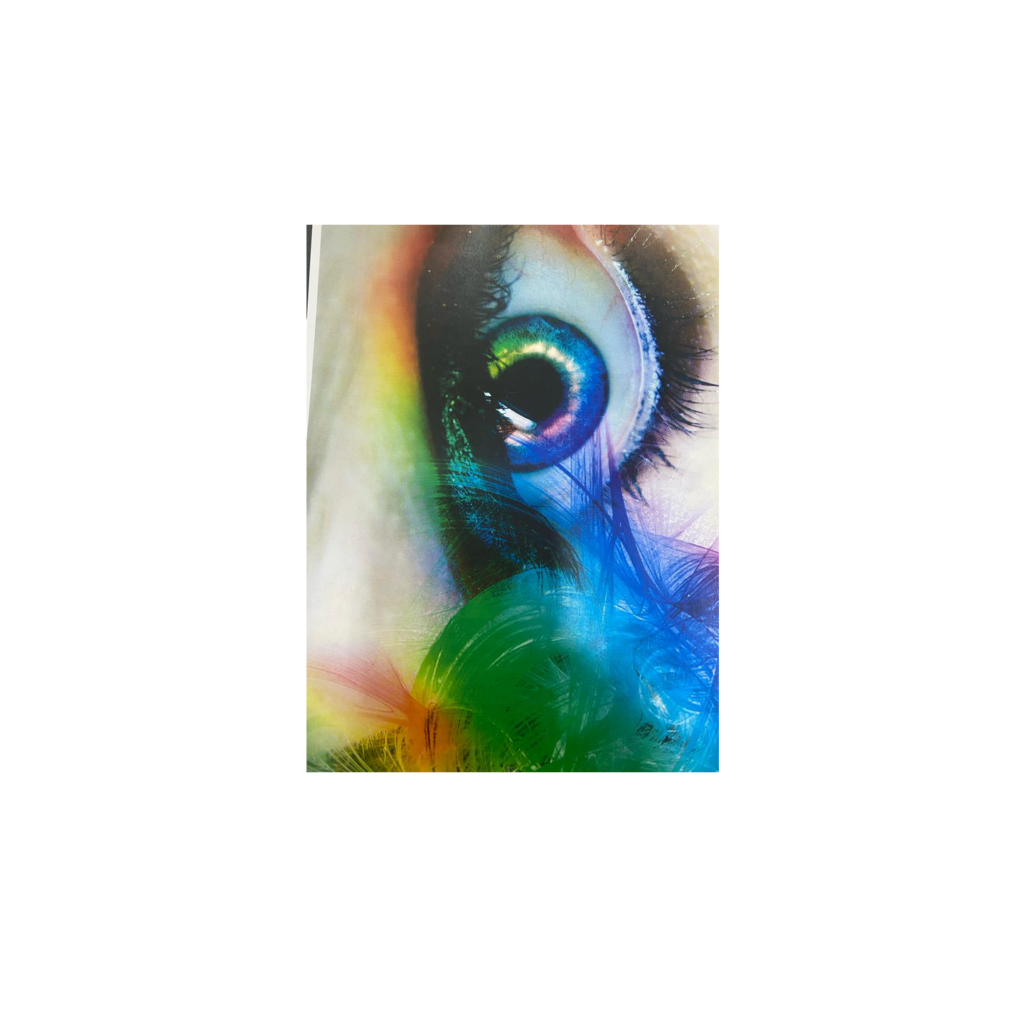 Multifuncional COLOR RICOH MPC401 - Center SD